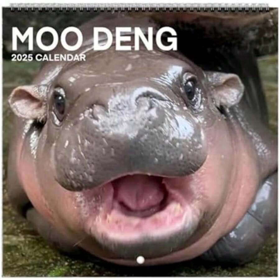 2025 New Year Moo Deng Calendar, Moo Deng Calendar,Moo Deng Pygmy ...