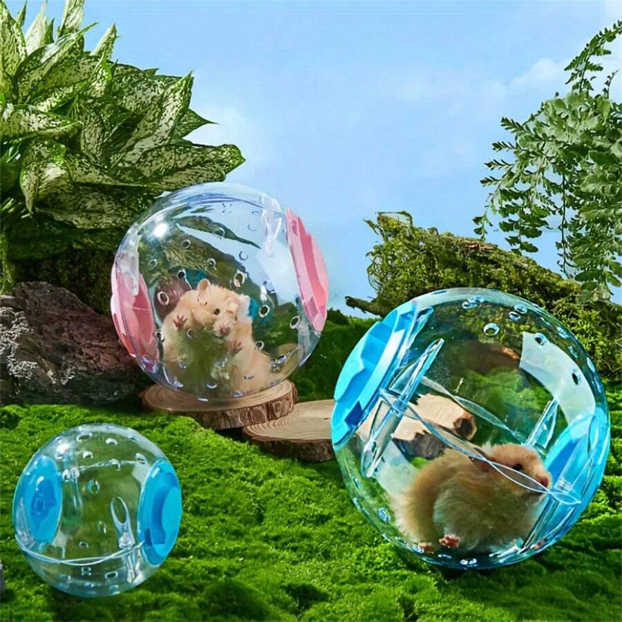 Transparent Hamster Exercise Ball - Suitable For Hamsters, Guinea Pigs ...