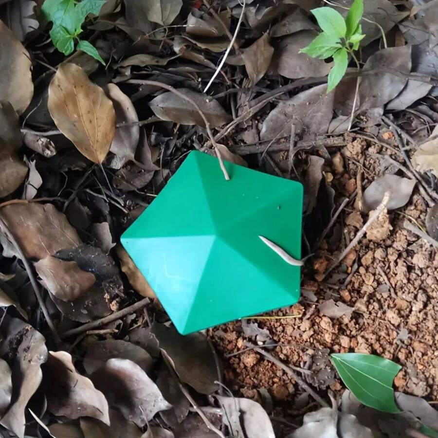 Snail Trap, Plastic Insect Pest Controller, Green Reptile Catcher For ...