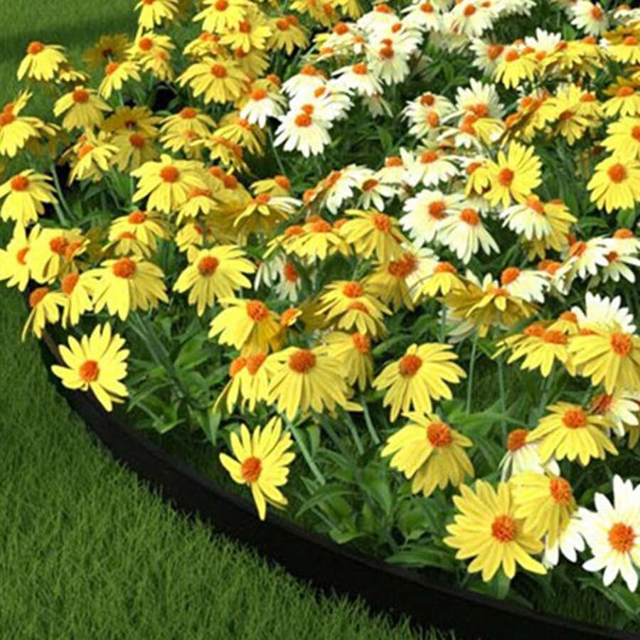 Landscape Edging Border With Spikes, Simple Installation No Dig Weather-Resistant Versatile ...