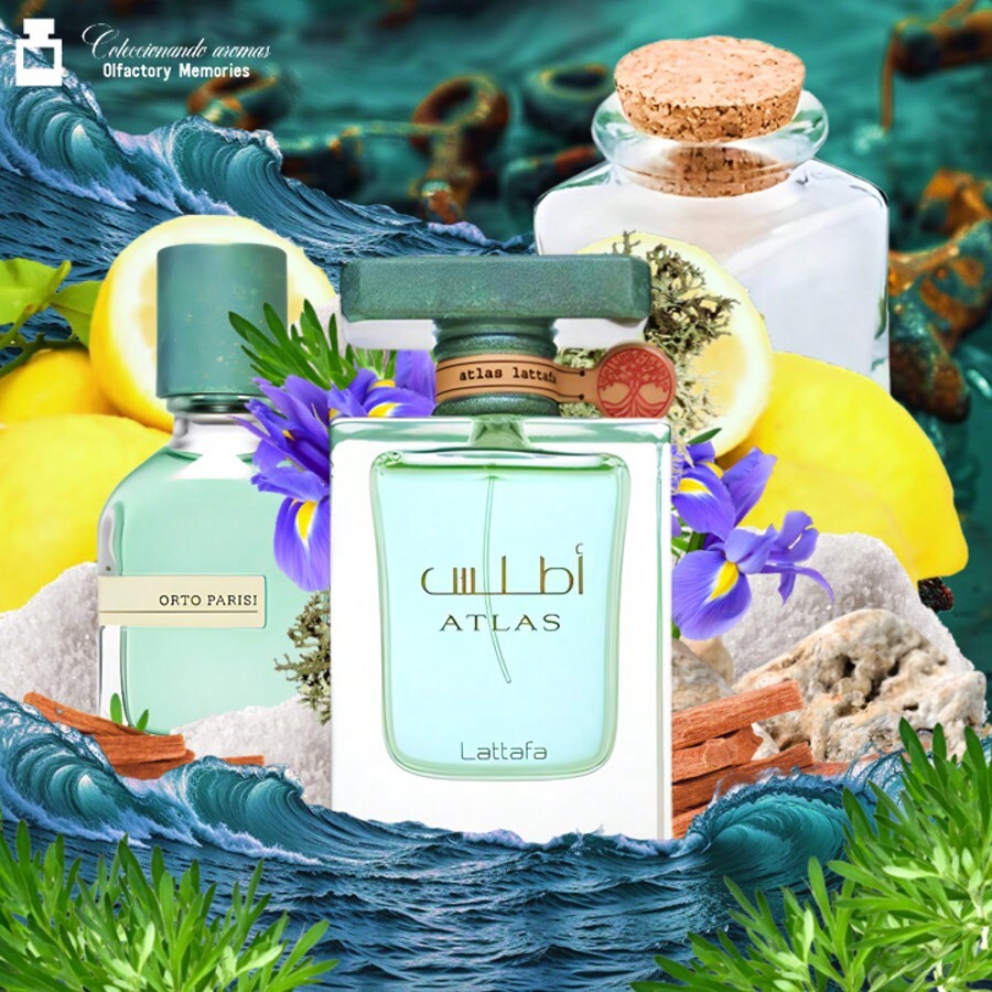 Lattafa PROFUMO ATLAS LATTAFA 100 ML | PROFUMO DUBAI ATLAS 100 ML ...