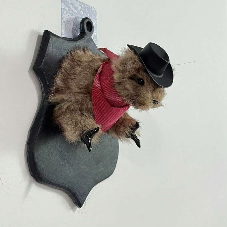 Cowboy Bandit Squirrel. Cowboy Bandit Squirrel | SHEIN EUR
