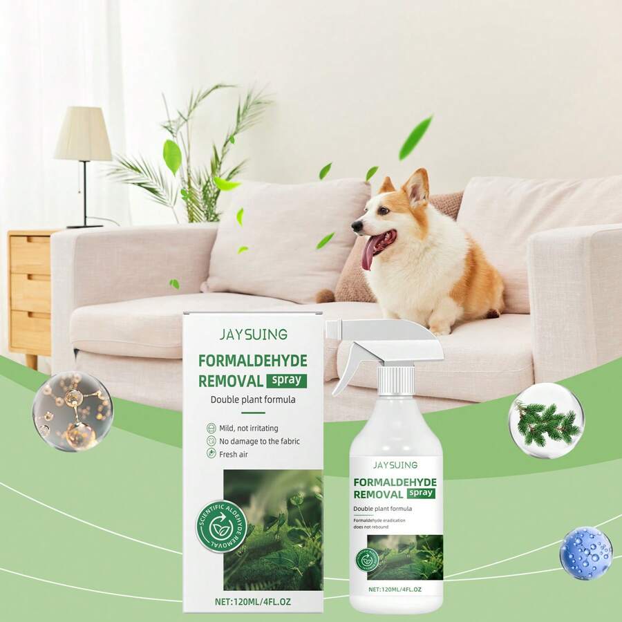 Jaysuing Formaldehyde Removal Spray New Home Office Renovation Removal ...