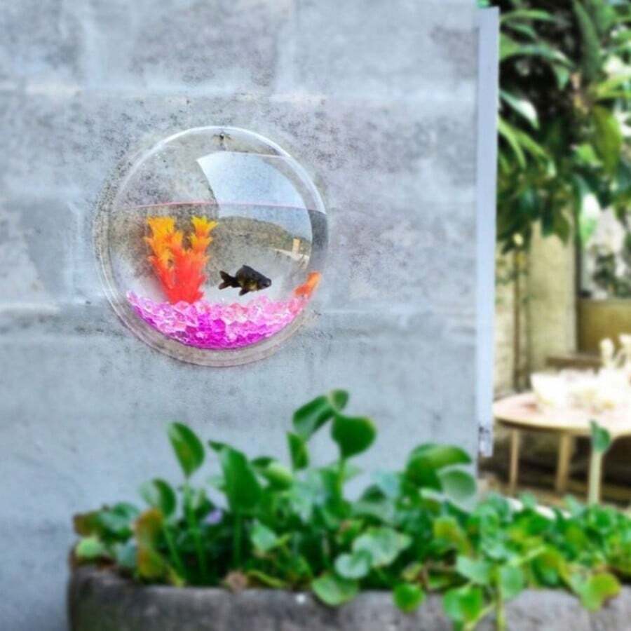 Wall Mounted Fish Tank, Wall Mounted Vase, Flower Basin, Acrylic ...