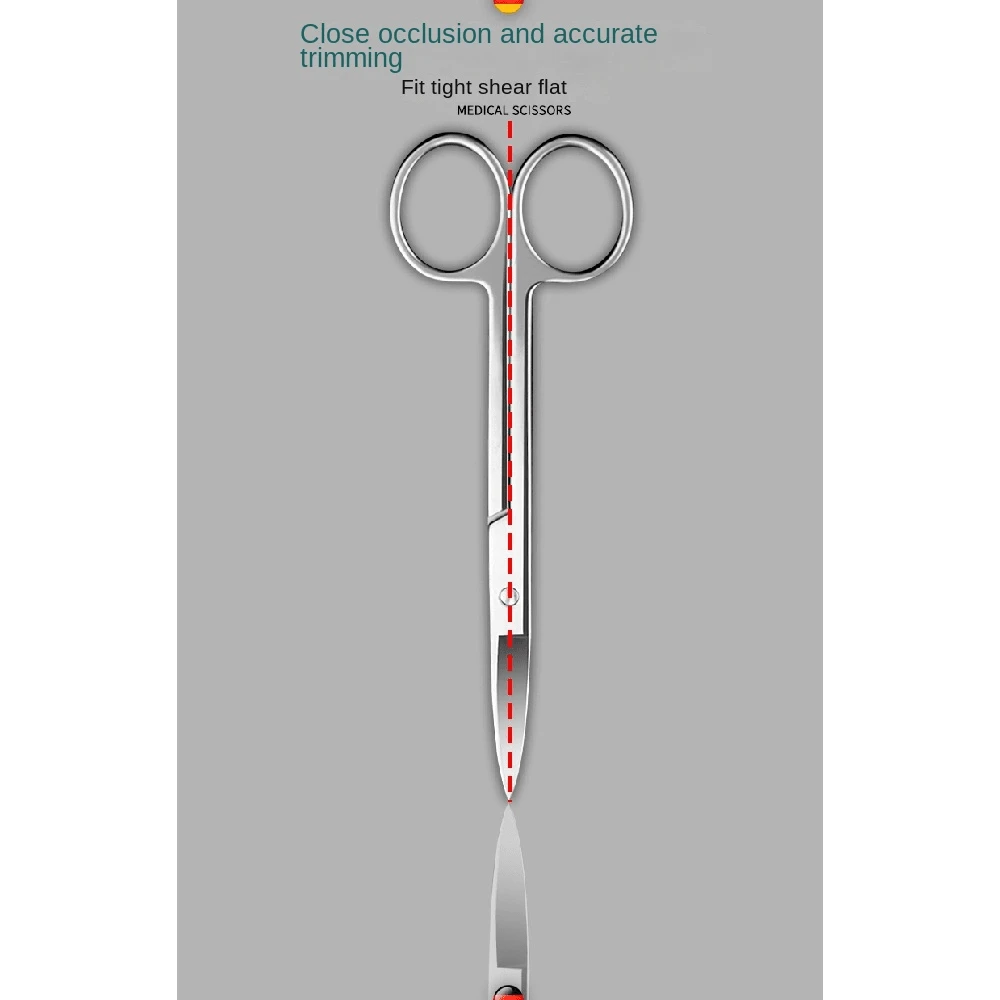 [14cm Stainless Steel Large Curved Scissor] Professional Makeup Artist ...