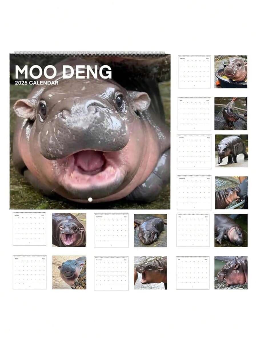 1pc 2025 Moo Deng Calendar Moo Deng Calendar Moo Deng Pygmy ...