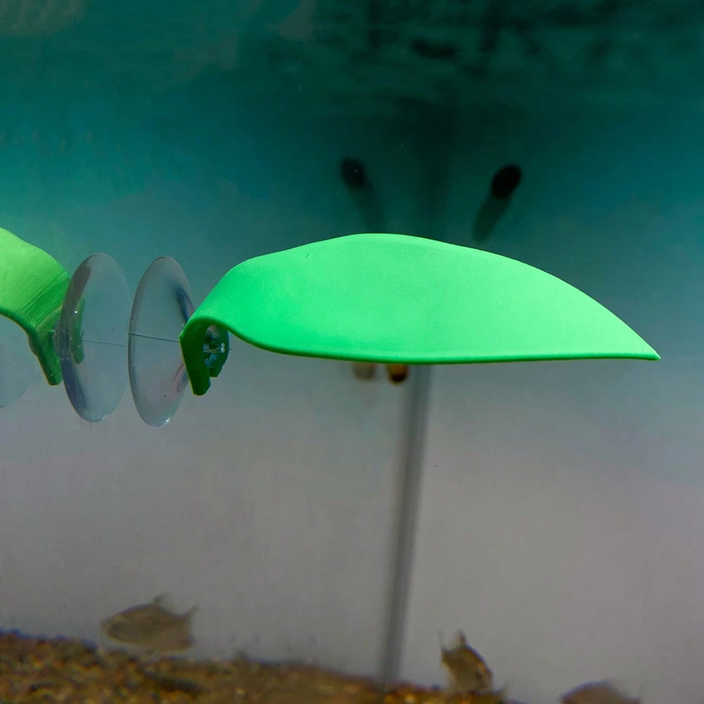 Betta Bed Leaf Rest Spawning Leaves Aquarium Landscaping Decoration ...