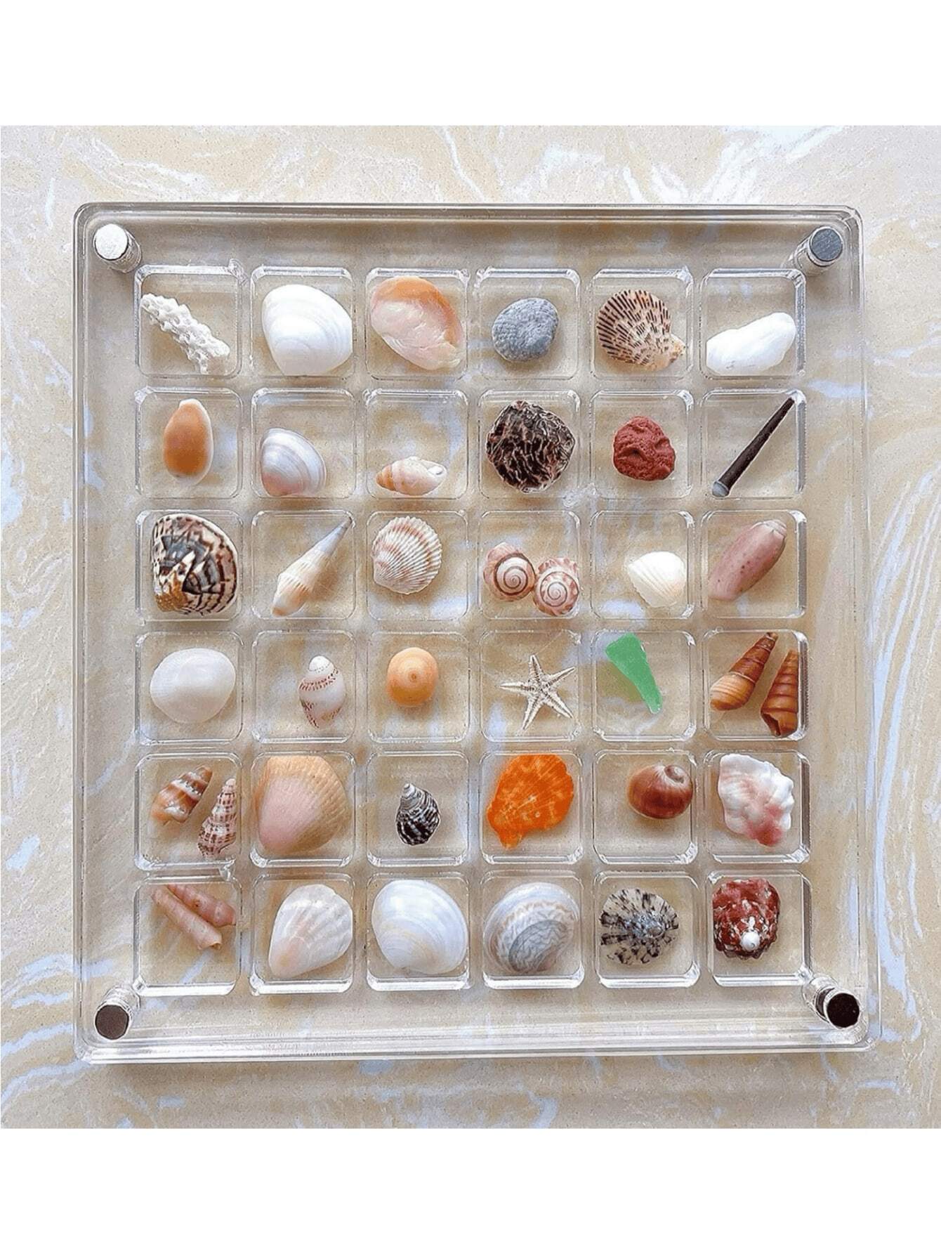 1pc 32 Square Magnetic Shell Display Box, Clear Display Box Rhinestone ...