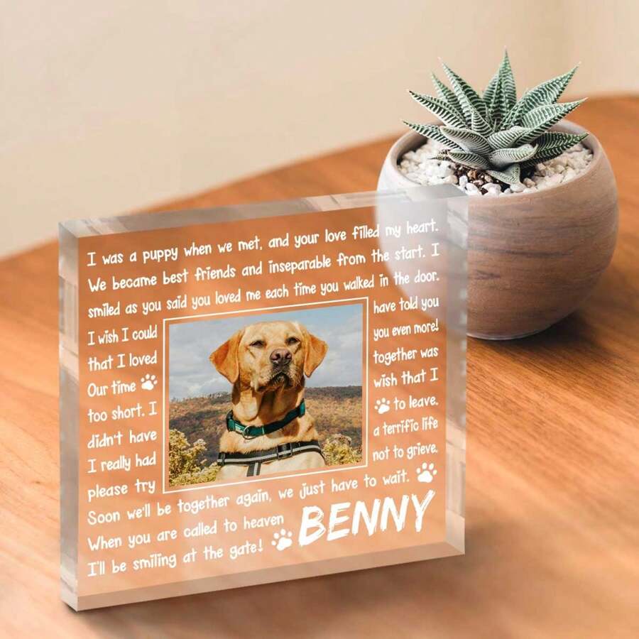 Placa Acrílica com Retrato de Cachorro Personalizado, Bloco Acrílico ...