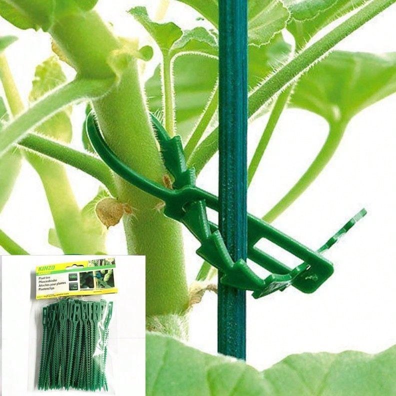 50pcs Adjustable Multi-Purpose Garden Ties, Simulate Plant Thorn Stem ...