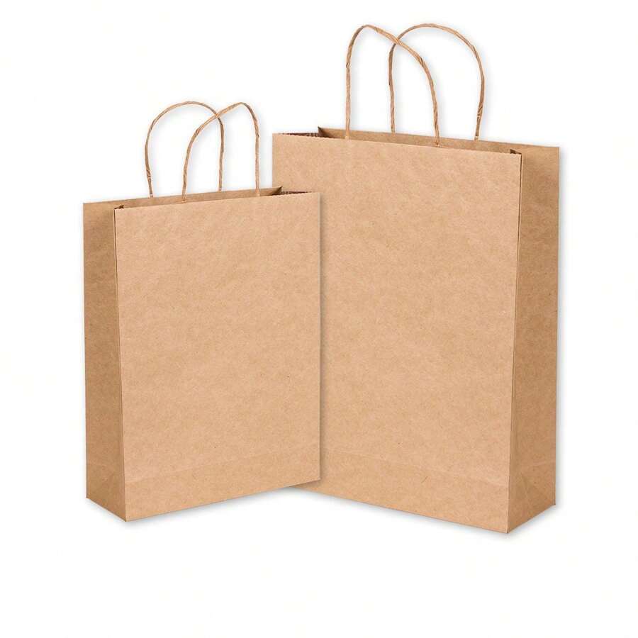 Easy Packaging Paper Bag P 18x22x9cm 100 Units Kraft Monolucent With ...