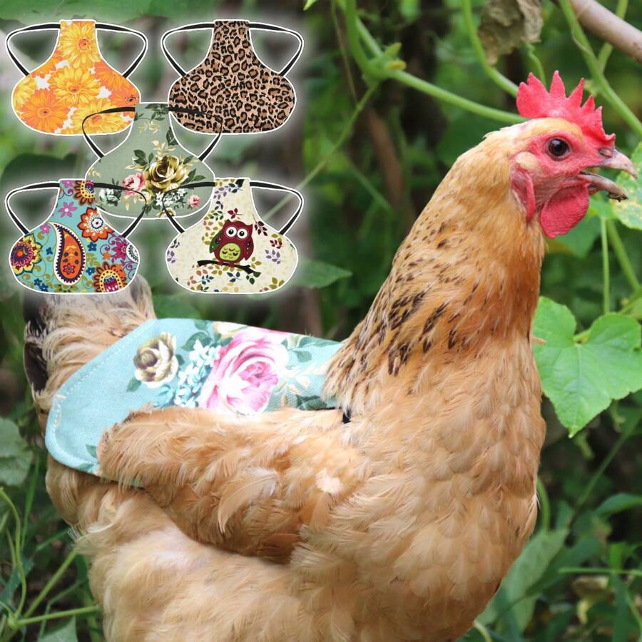 Single Strap Chicken Apron/Saddle, Canvas & Quilted Hen Jacket ...