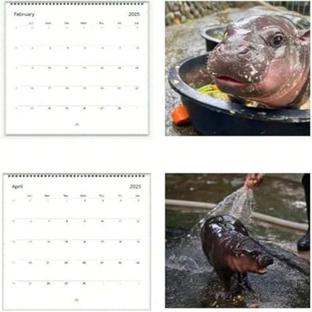 ปฏิทินปีใหม่ 2025 มูเด็ง, ปฏิทินมูเด็ง, มูเด็ง ฮิปโปโปเตมัสขนาดเล็ก ...