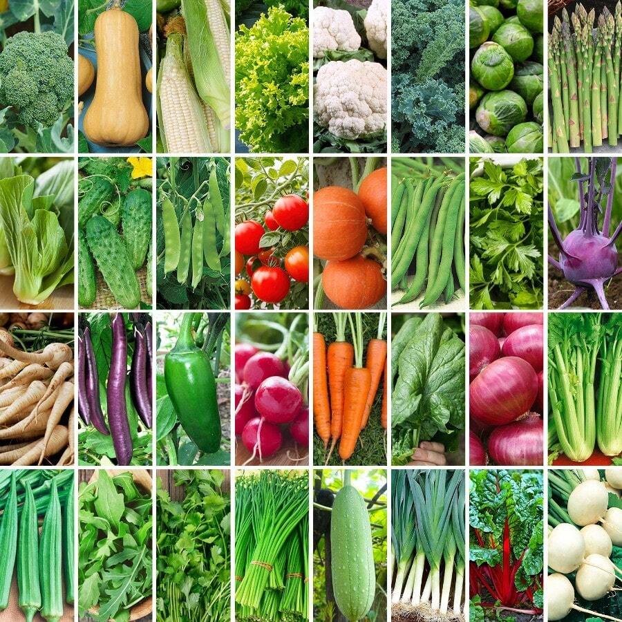 32 Kinds Of Vegetable Seeds, 8,600 Kinds Of Antique Seeds Gift Package ...
