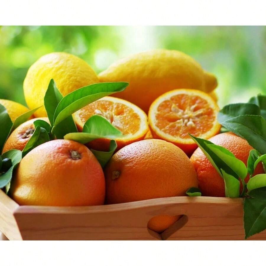 1000 Mixed Fruit Seeds Combo Pack - 6 Non-GMO Heirloom And Seeds ...