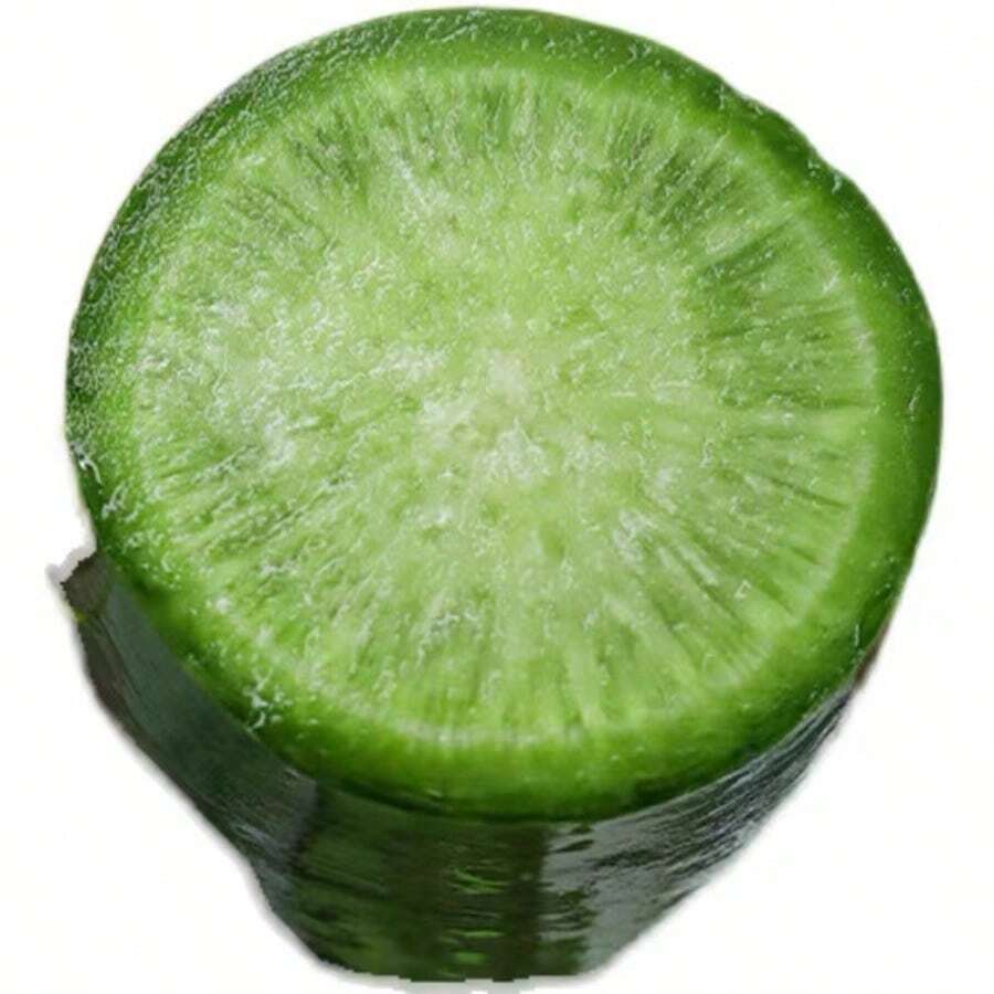 Easy To Plant Candy Green Radish Seeds Eat Sweet And Crunchy Succulent ...