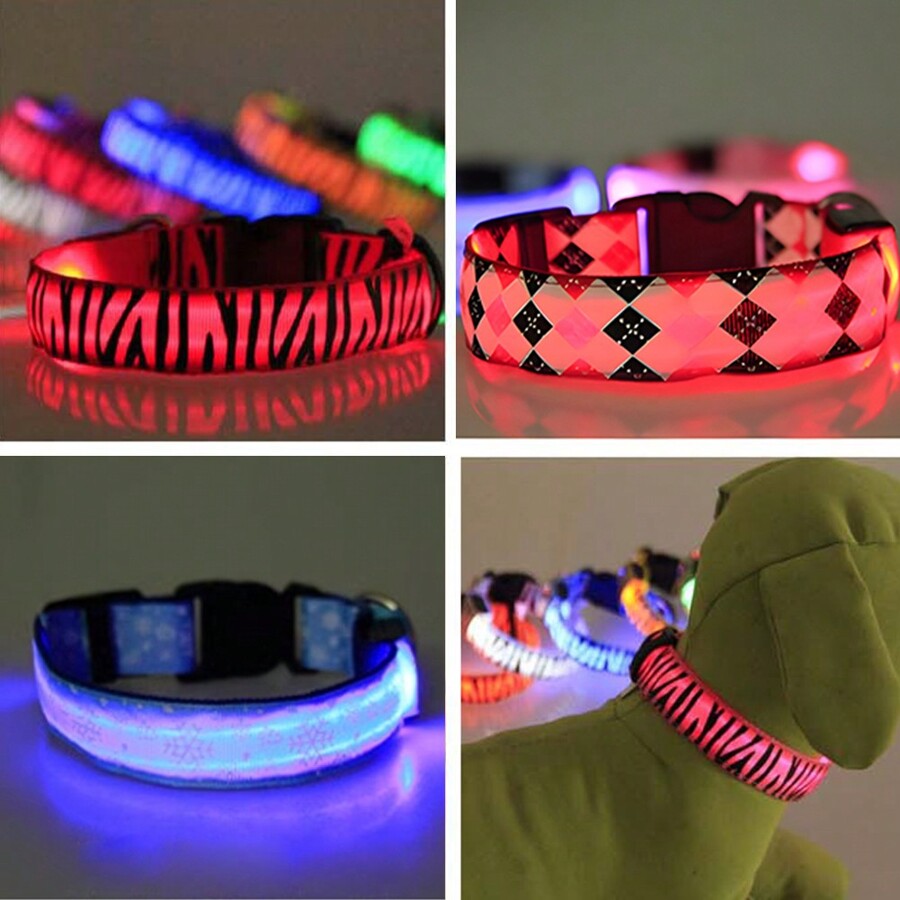 Collare per cani a LED super luminosi in arrivo! Modalità di ricarica ...
