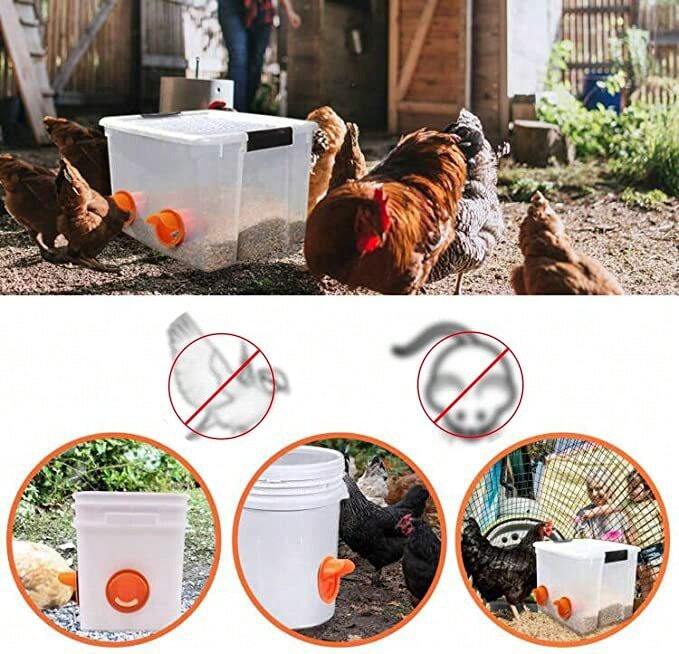 DIY Chicken Feeder With 4 Feeding Holes & 1 Hole Saw, Poultry Feeder ...