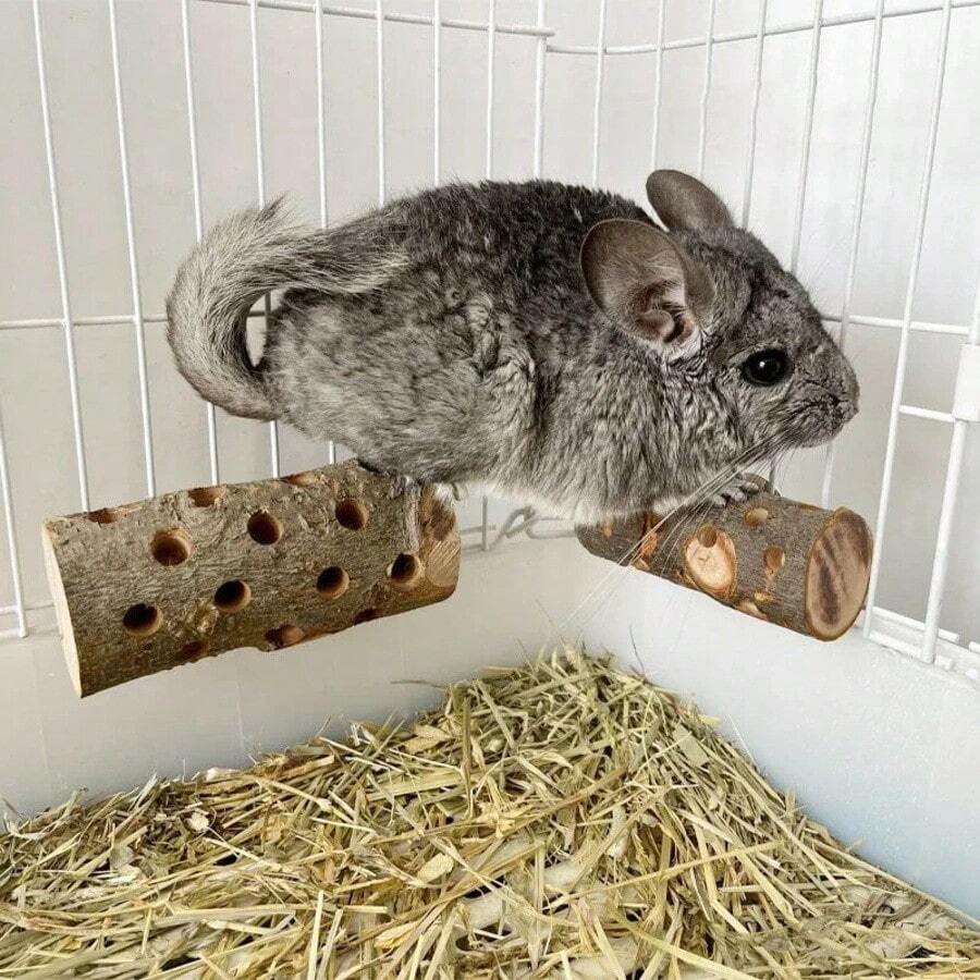 Small Animal Rabbit Molar Stick Anti-Bite Cage Apple Wood Parrot Bird ...