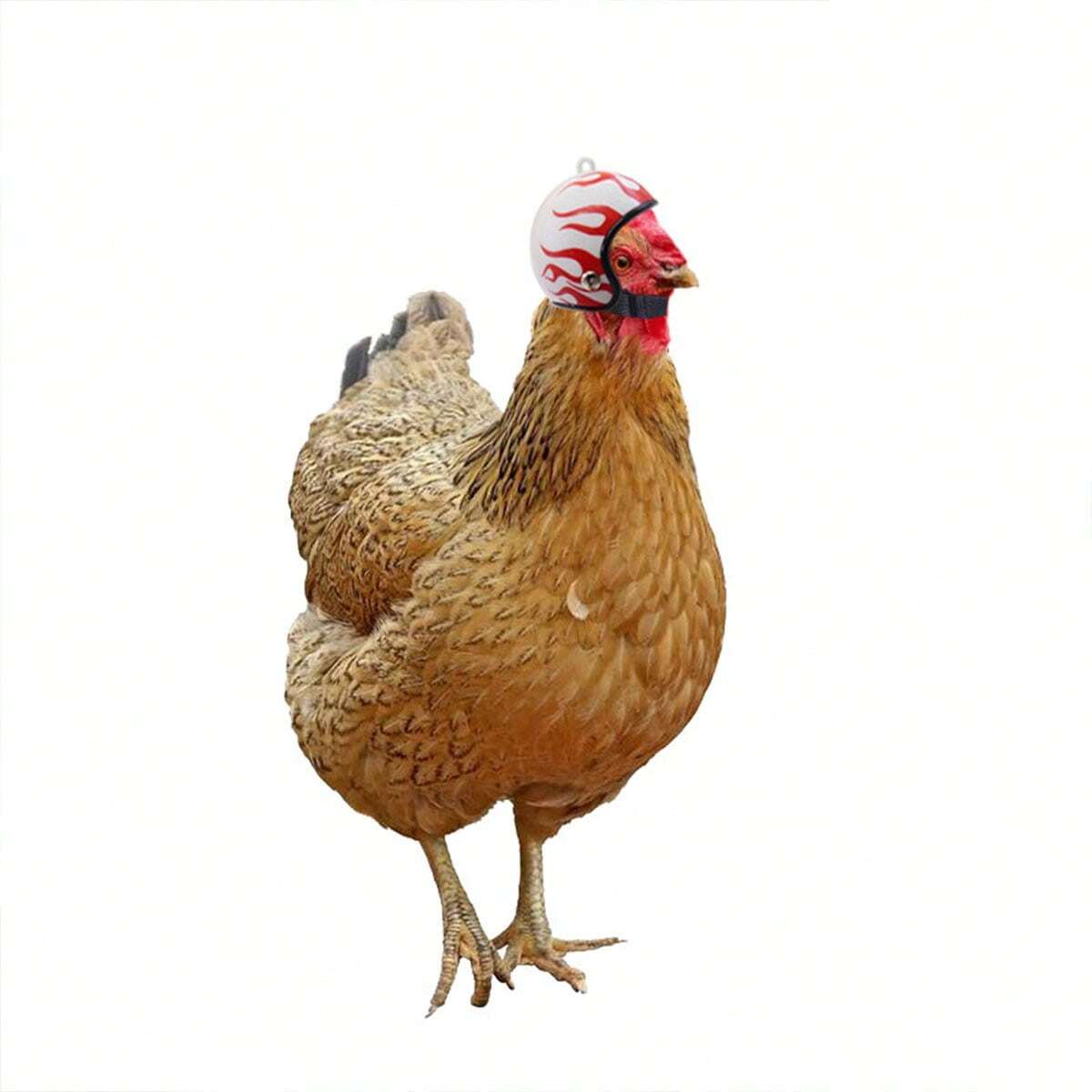 New Chicken Arm Decoration Chicken Helmet Decoration Chicken Forelimbs ...