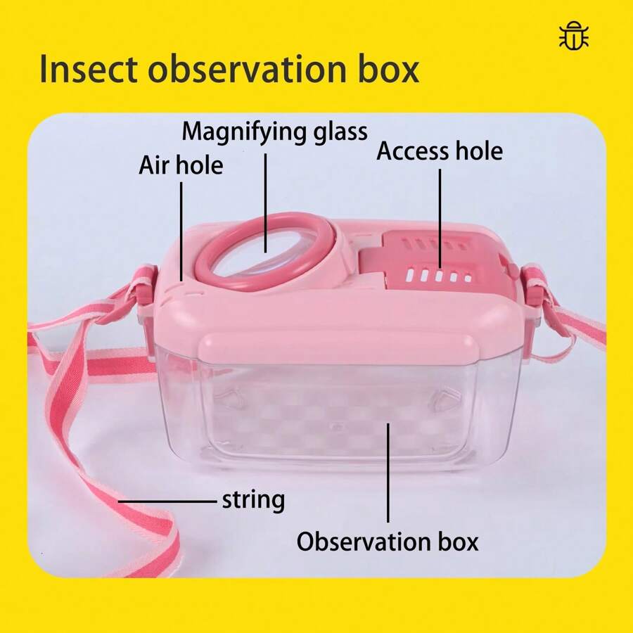 Insect Observation Box With Magnifying Glass And Tweezers, Early ...
