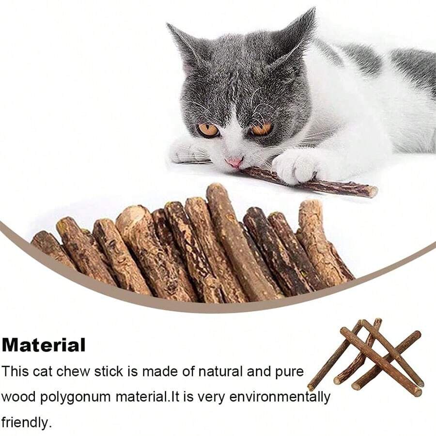 Cat Biting Sticks, Cat Bite Toys, Indoor Cat Wooden Chewing Sticks ...