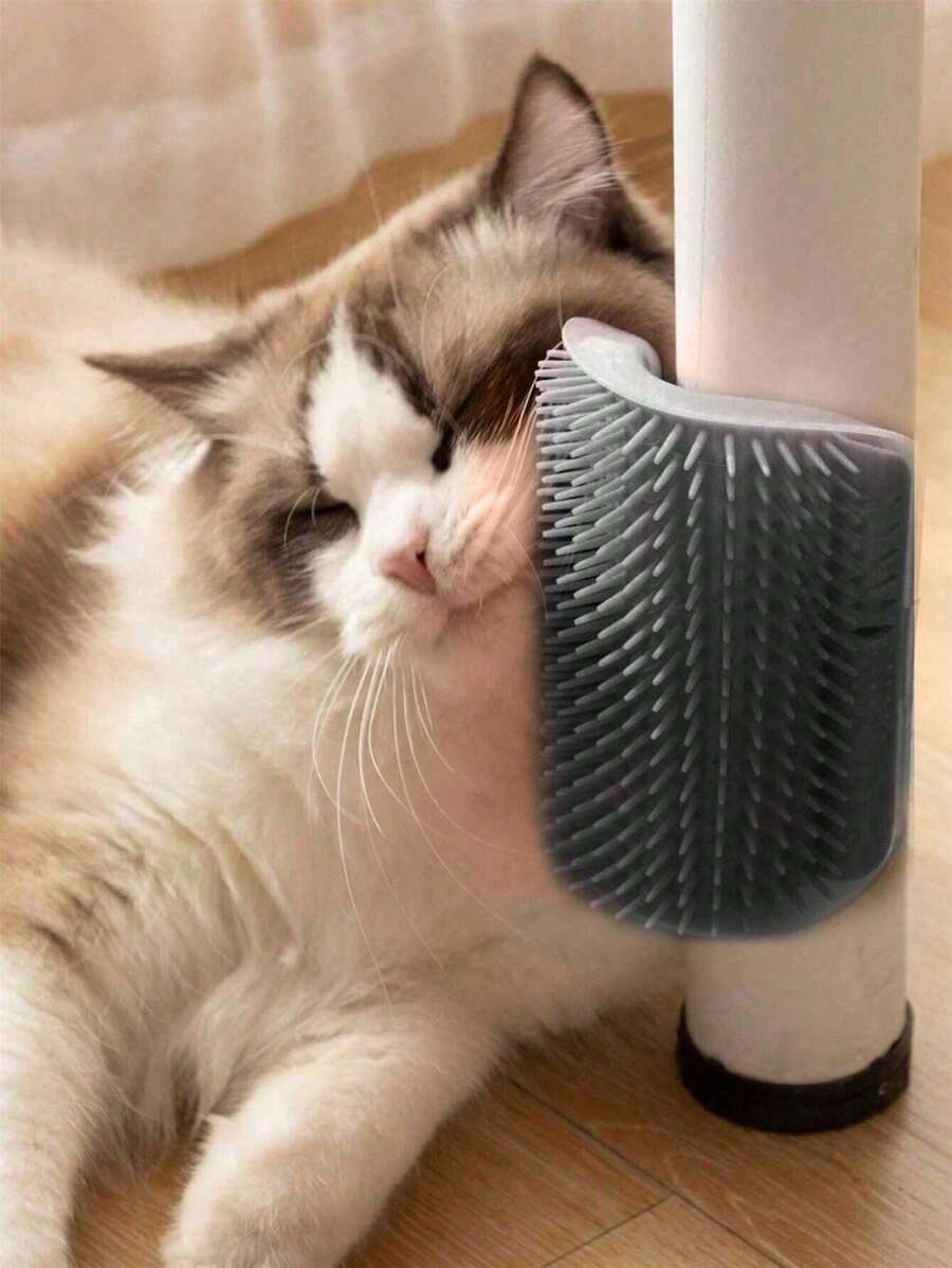 Cat Wall Scrub Brush And Scraper - Perfect For Indoor Cats, Providing ...