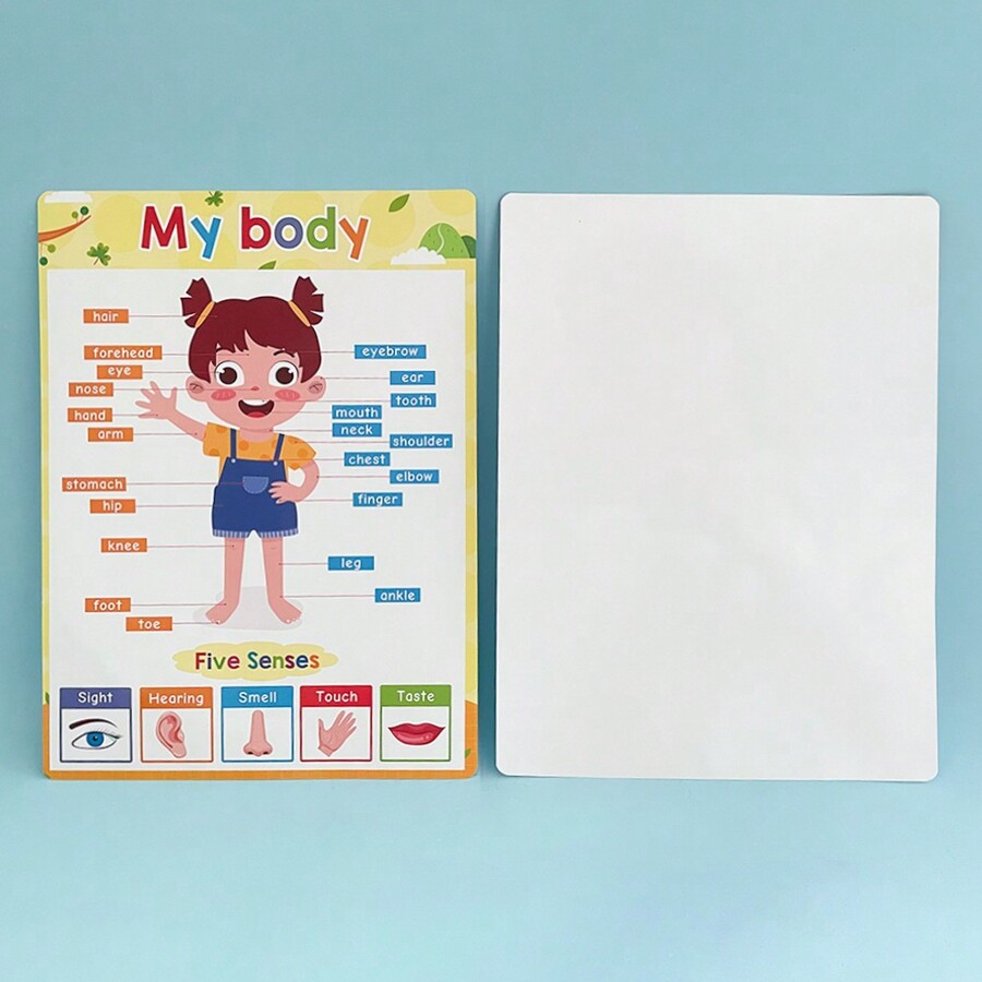 20 Themes Learning English For Children Fruit Alphabet Animal Body ...