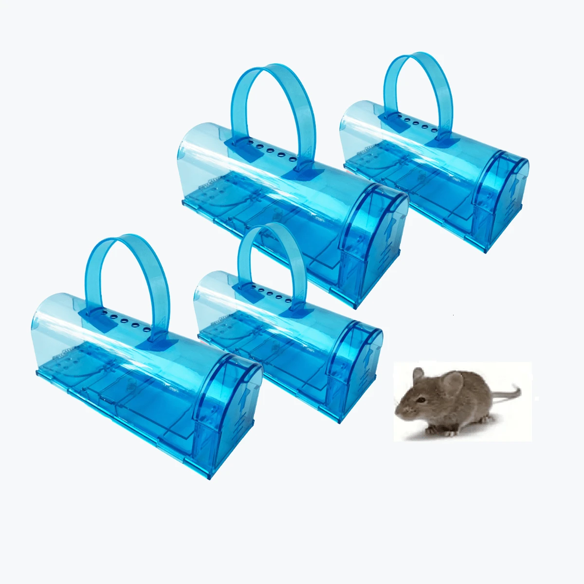 Motel Mouse Humane No Kill Live Catch And Release Mouse Traps, Reusable ...