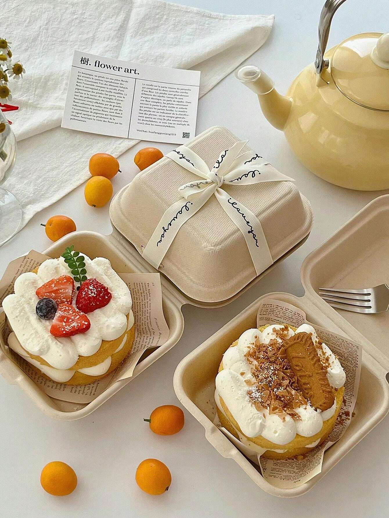 10Pack Hand-Painted Bento Cake Box To Go Containers Compostable ...