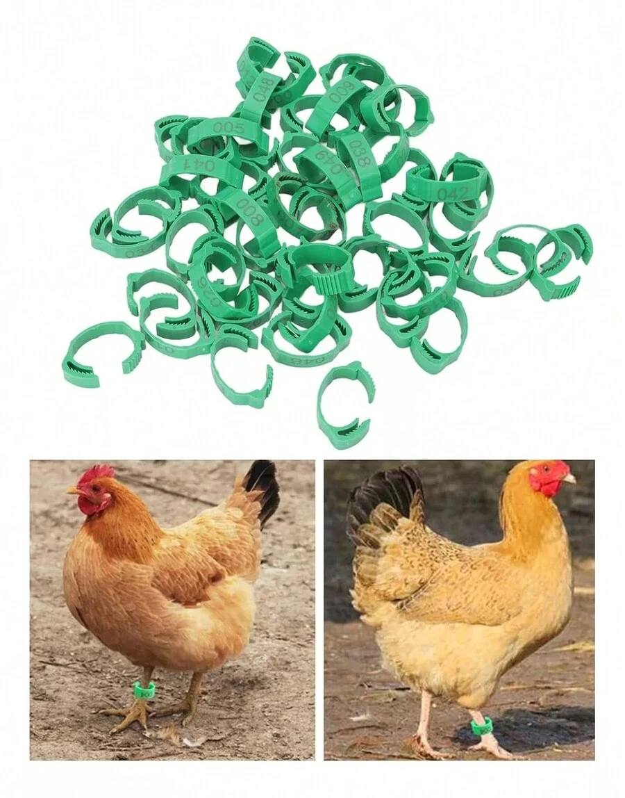 Kit 100 Adjustable Rings For Chickens Hens Peacock Serial Number 1-100 ...