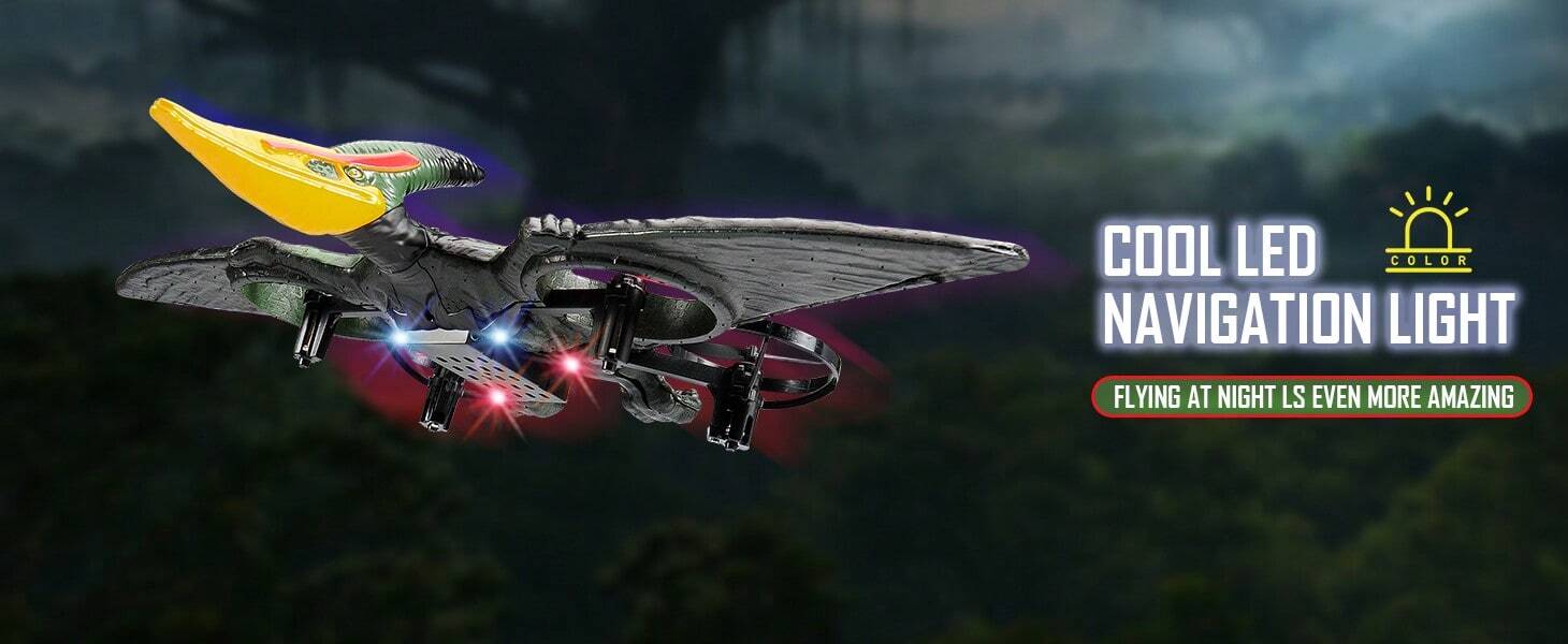 Fremego Pterosaur RC Plane 2.4G EPP Anti-Wear Foam Dragon Airplane 360 ...