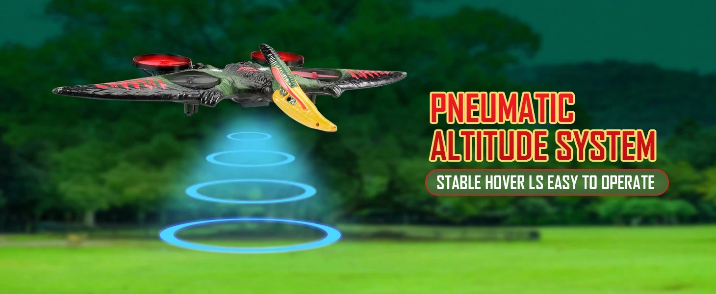 Fremego Pterosaur RC Plane 2.4G EPP Anti-Wear Foam Dragon Airplane 360 ...