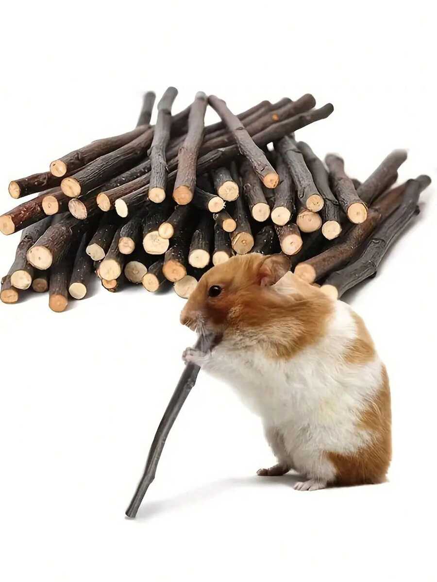 Natural Apple Stick Small Animal Chew Snacks & Toys, Suitable For Pets ...