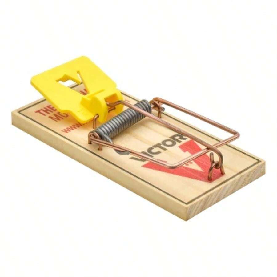 Easy Set Mouse Traps - 2pk98549239821 | SHEIN USA