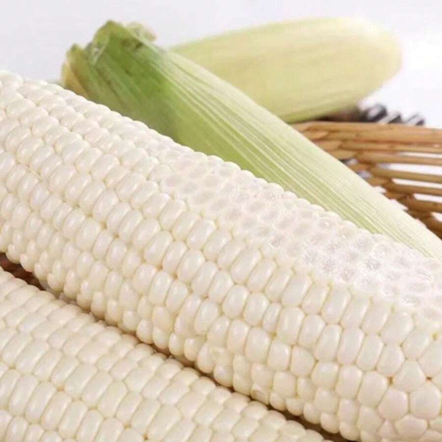 Sticky Corn Seed Sweet Waxy Sticky Sweet White Corn Seed Nutritional ...