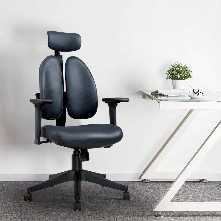 LIUFENTTY Ergonomic Office Chair With Dual Back Support, Home Office ...