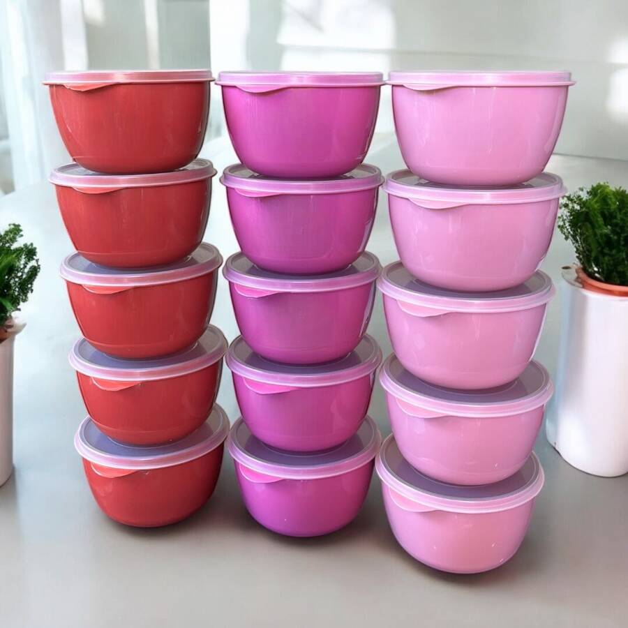 Kit Of 10 Bowl Pots 1 Liter Tapoer Lunch Box With Lid Food Holder ...