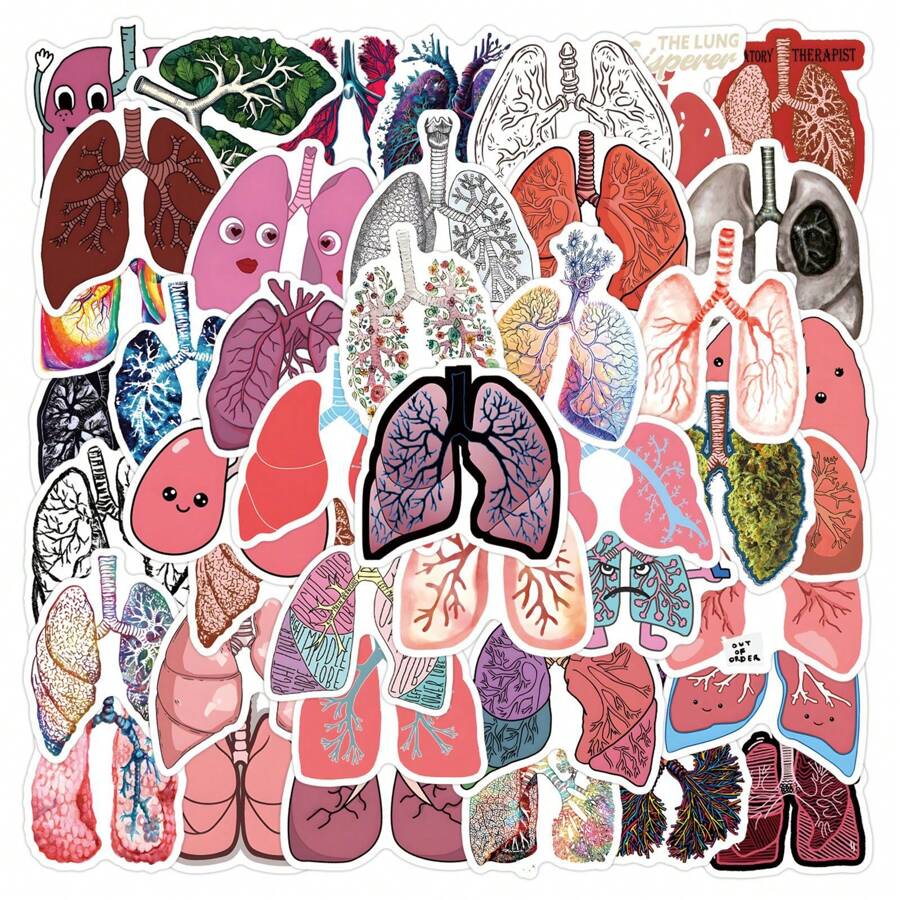 50Pcs Anatomy Stickers Lung Stickers Doctor Stickers Organ Stickers ...