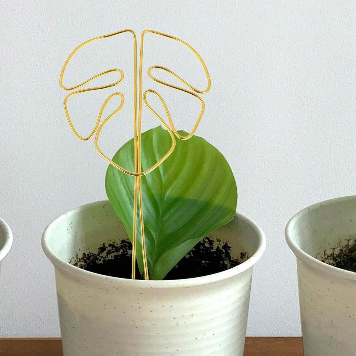 Soporte de planta con forma de concha de tortuga hecho de bambú, en dos ...