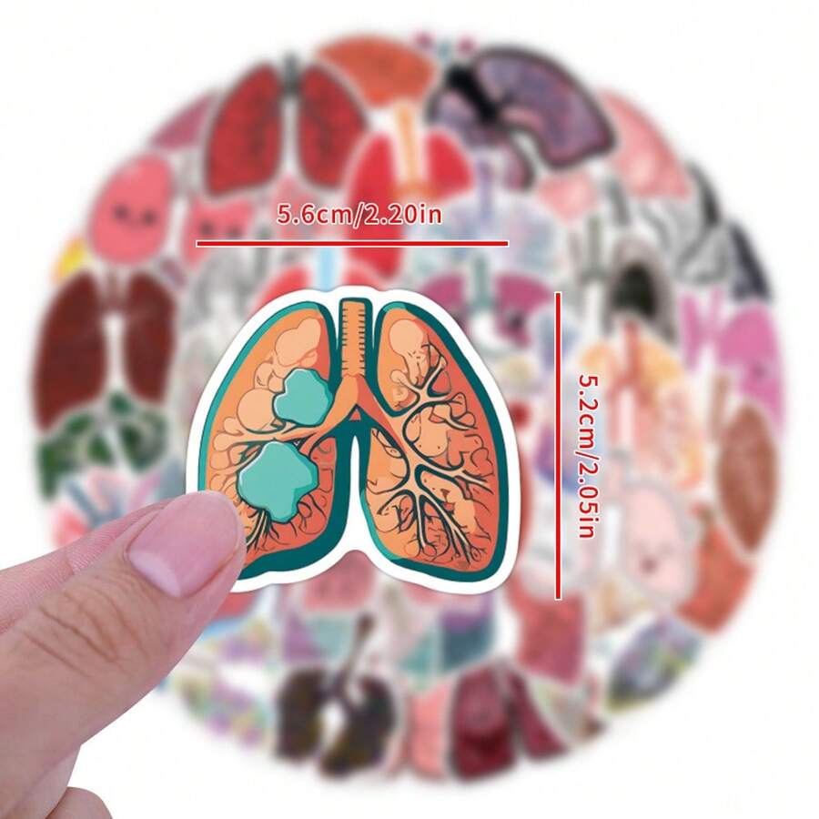 50Pcs Anatomy Stickers Lung Stickers Doctor Stickers Organ Stickers ...