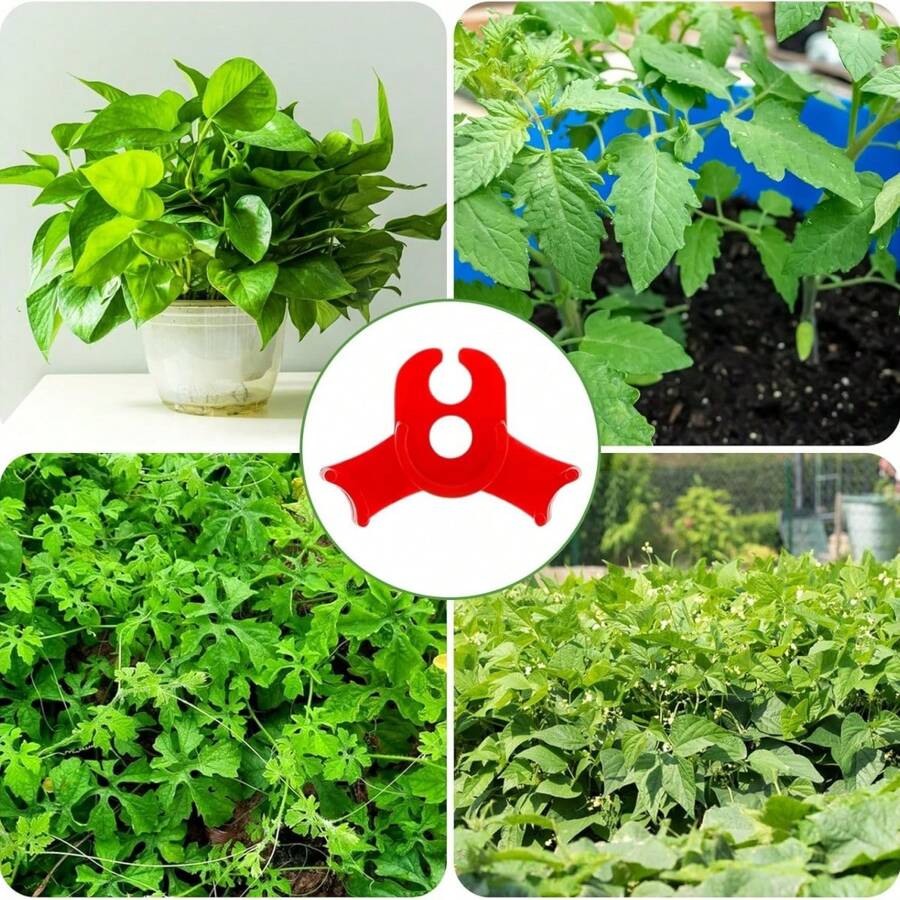 20 Pcs Low Stress Plant Training Clips, 90 Degrees Low Stress Training ...