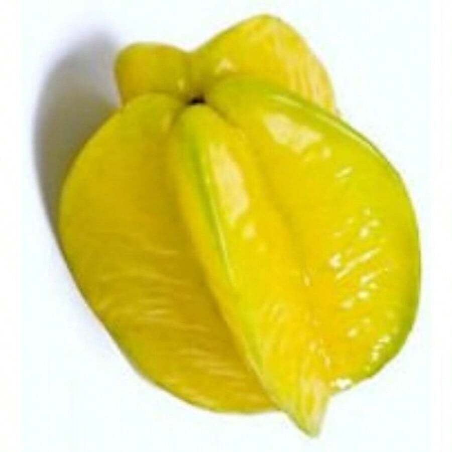 300pcs Of Exotic Starfruit Seeds Starfruit Seeds | SHEIN UK