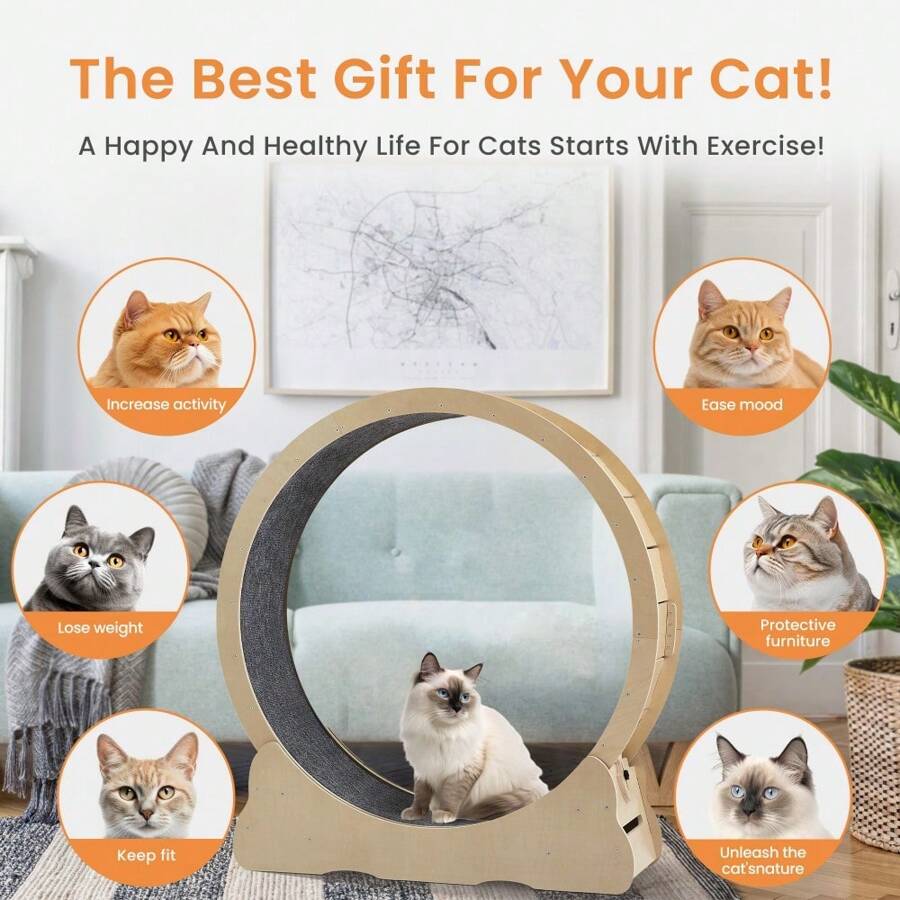 Cat Exercise Wheel, Cat Exercise Treadmill With Carpeted Running Track ...
