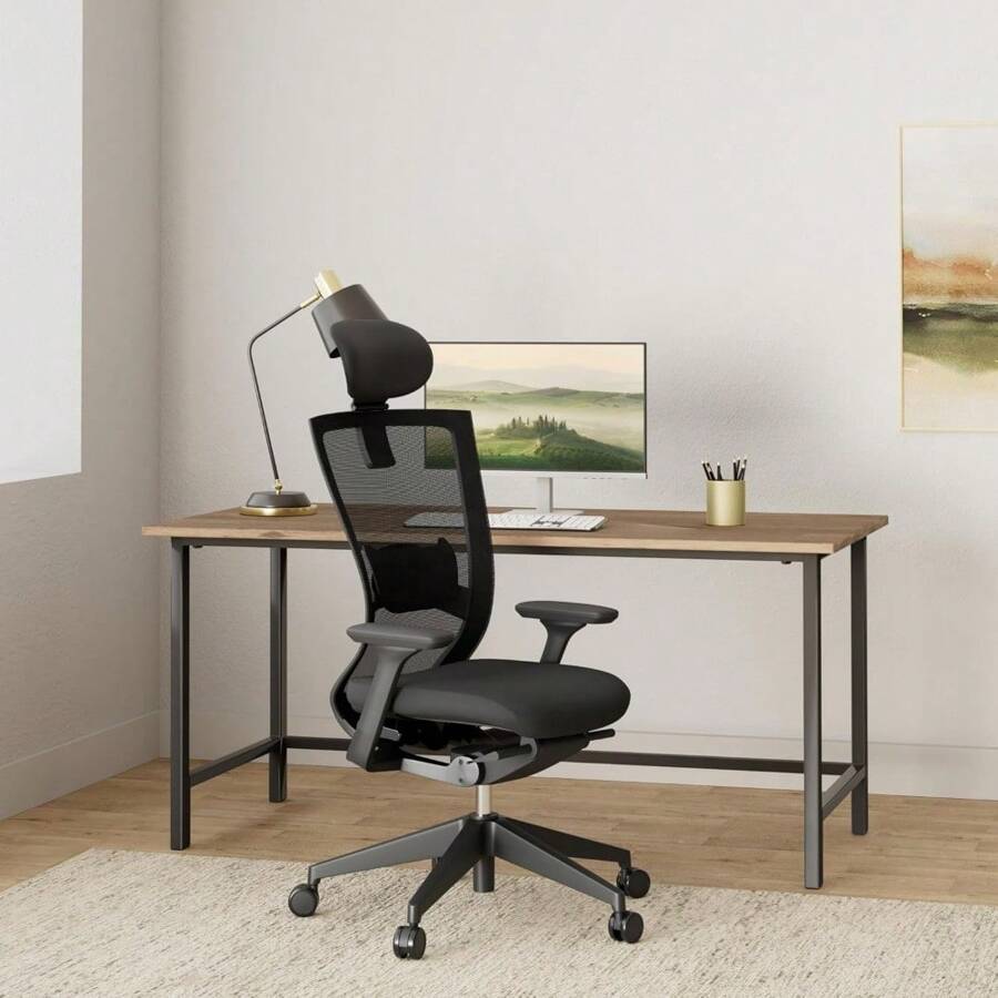 SIDIZ T50 Ergonomic Office Chair : High Performance Home Office Chair ...