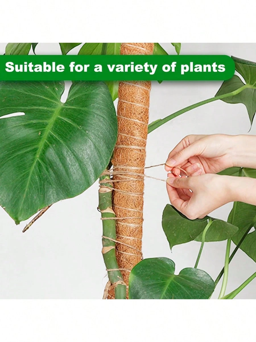 2pcs 31.5inch (80cm) Flexible Moss Poles For Plants, Monstera Support ...