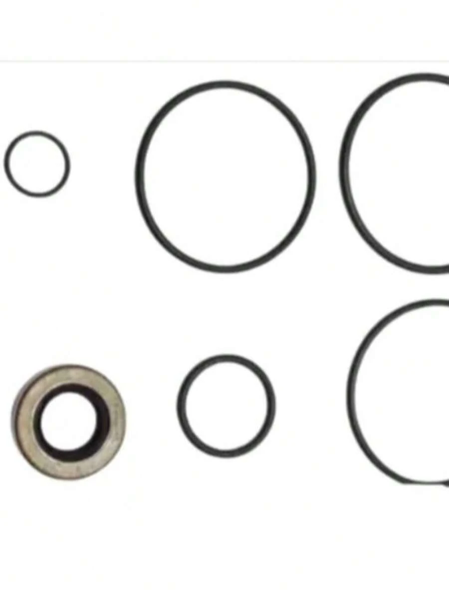 Palio / Siena / Strada (Dhb) Power Steering Pump Repair | SHEIN USA