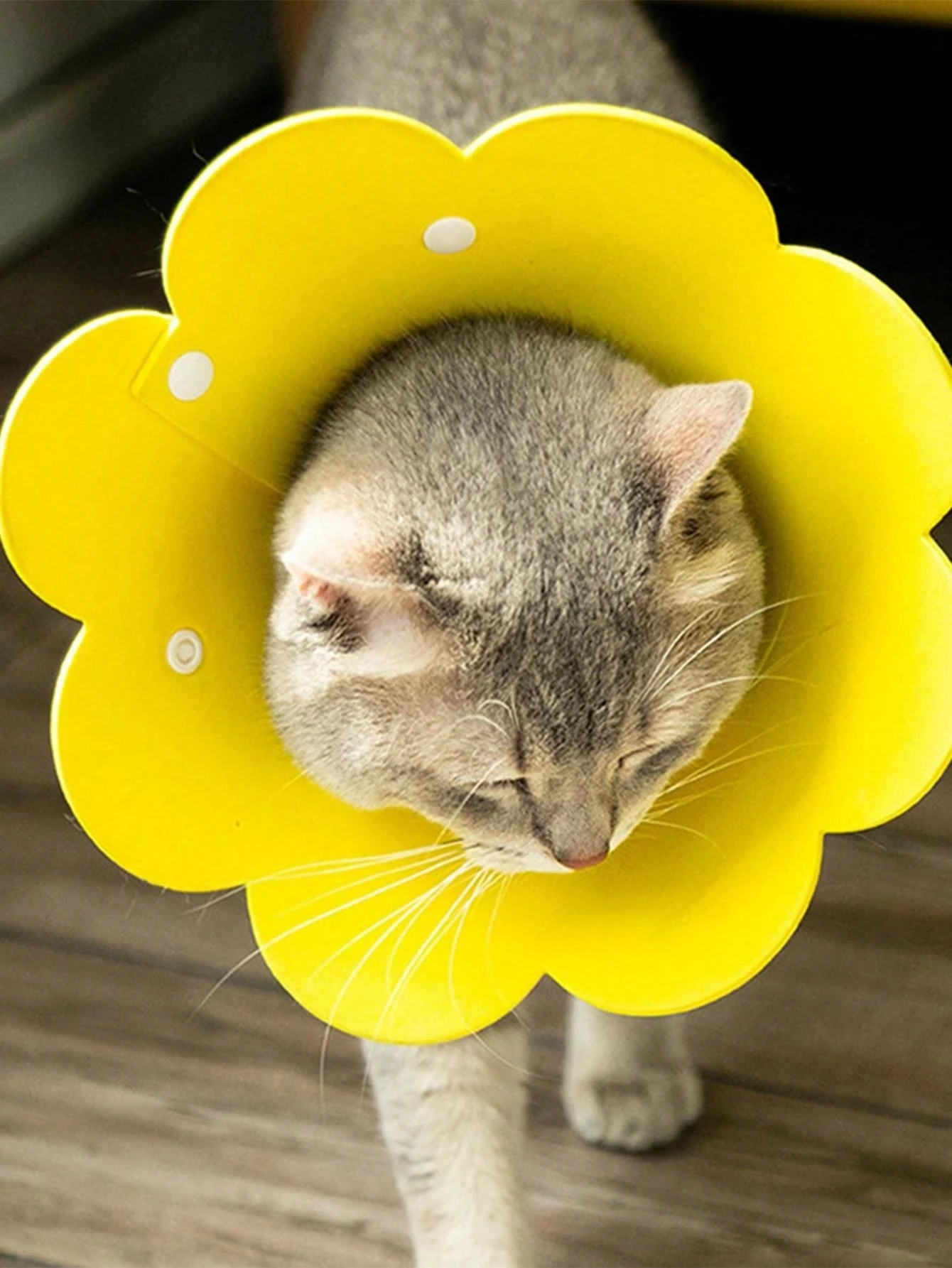 1PC Cute Flower Shaped Cat Dog Collars Adjustable Recovery Elizabethan ...