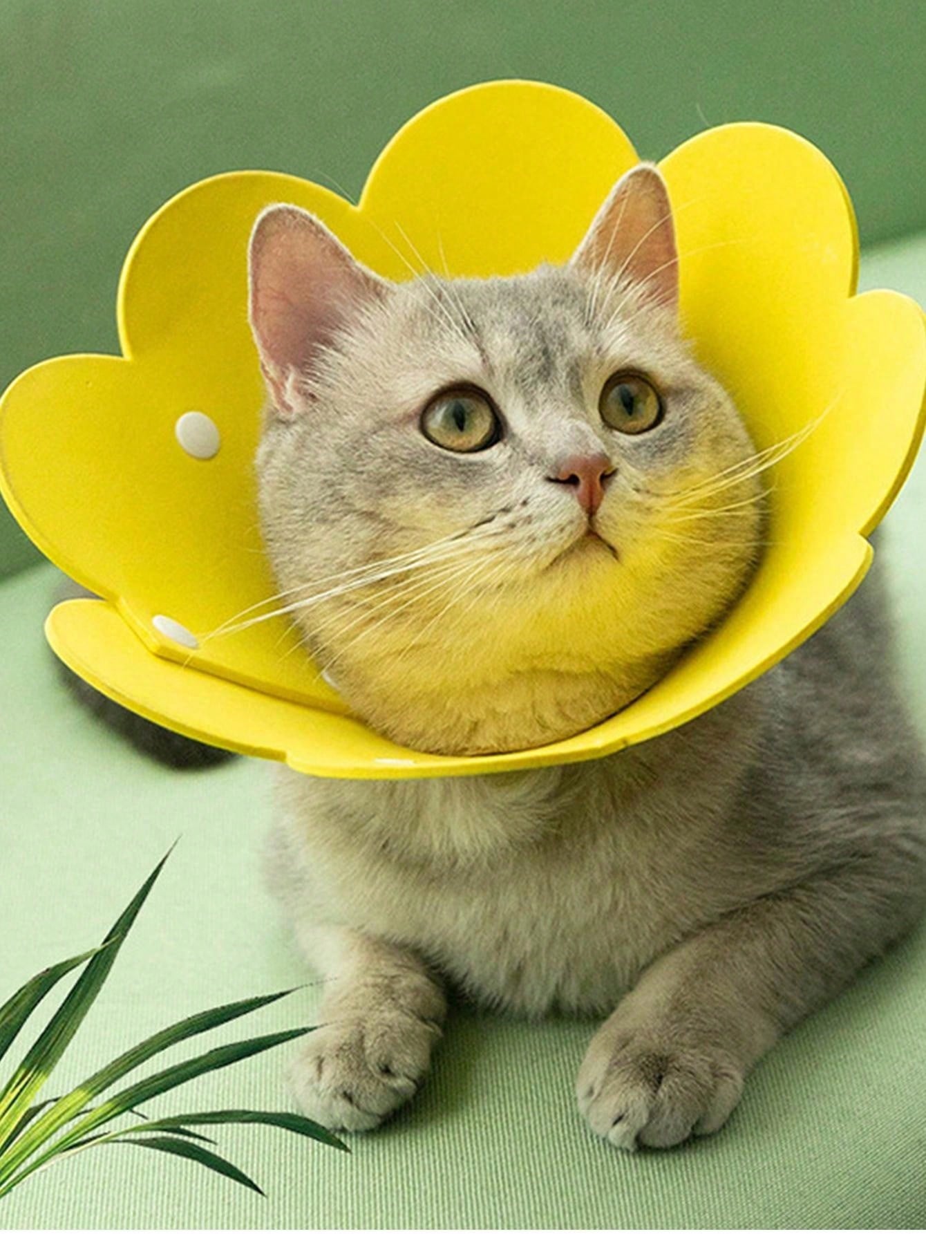 1PC Cute Flower Shaped Cat Dog Collars Adjustable Recovery Elizabethan ...
