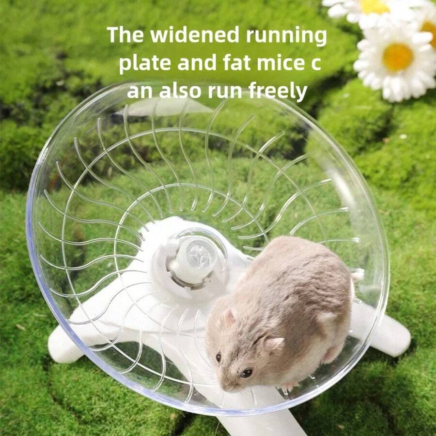 Hamster Running Wheel Silent Flying Disc Running Wheel Golden Bear ...